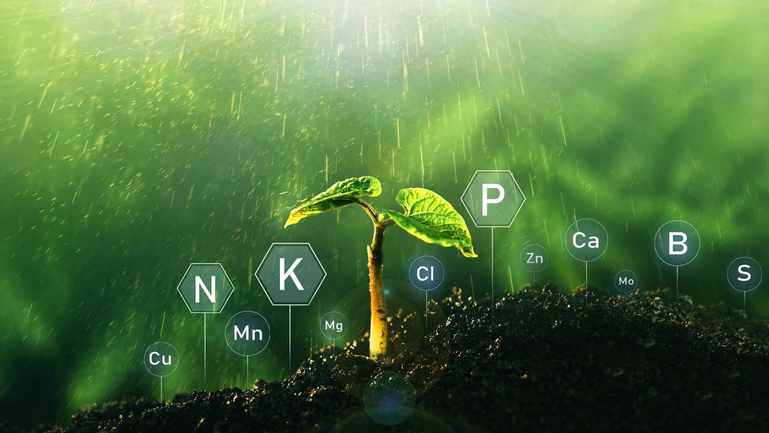 BREAKING: H.I.G. compra Life Agro e estreia em insumos agrícolas - The ...