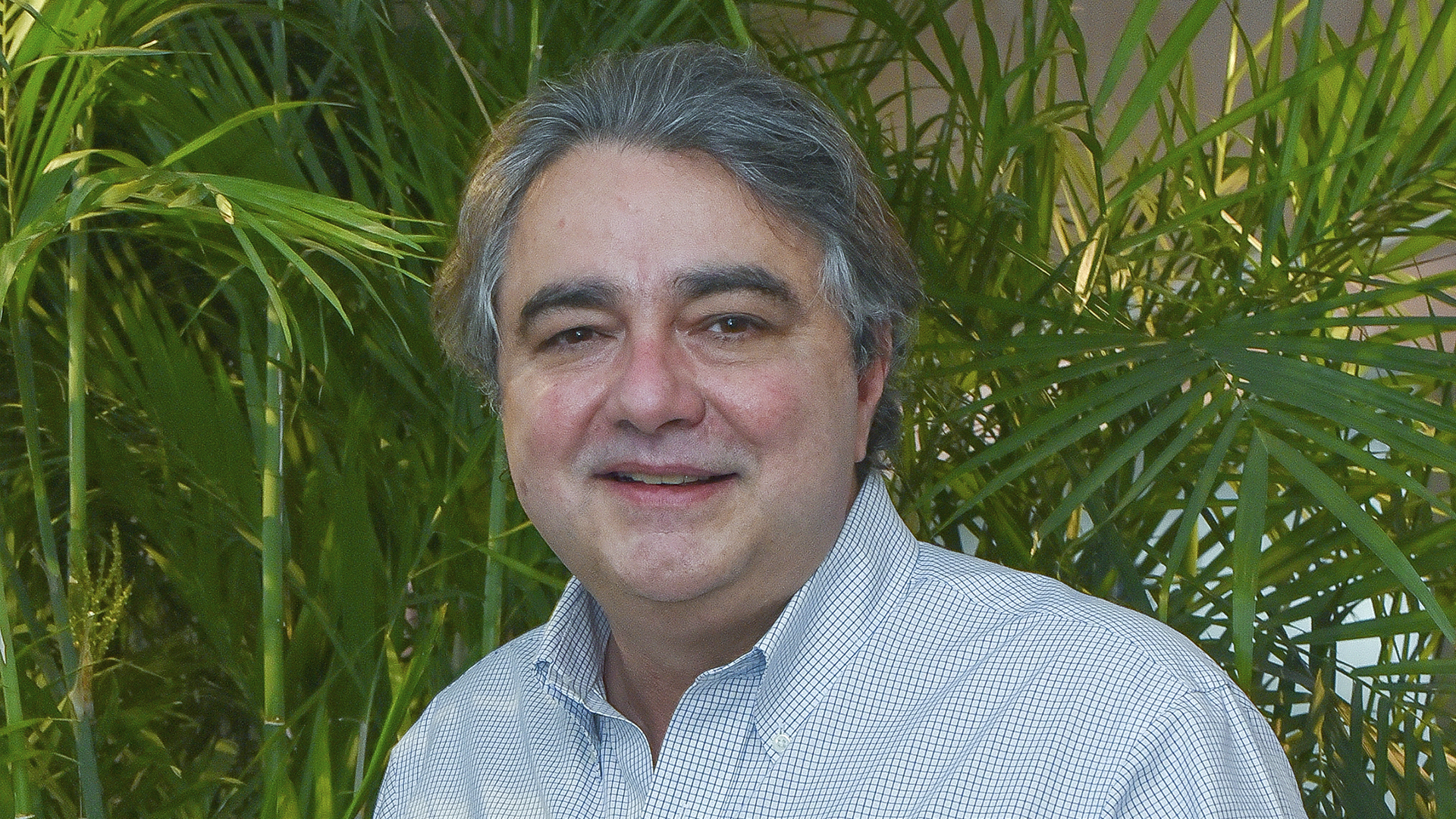 Como Wilson Romanini quer levar a Vittia ao topo nos biológicos - The ...