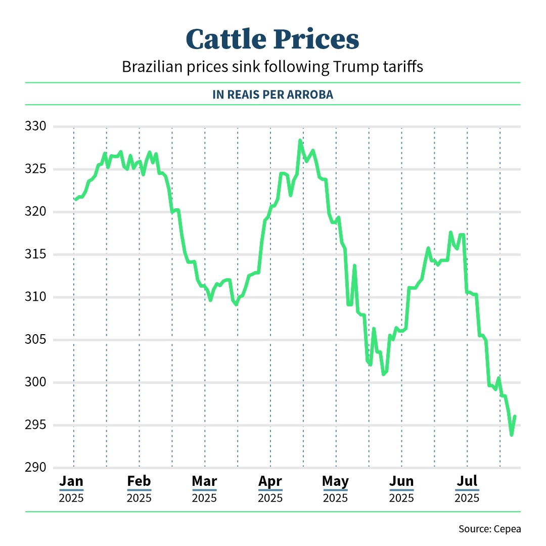 Trump Tariffs Put Brazil's Meatpackers Into Wait-and-See Mode - The AgriBiz